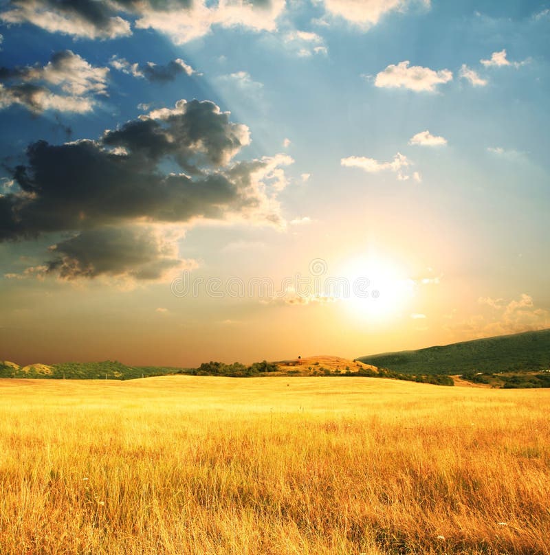 Field on sunset stock image. Image of harvest, yellow - 6537779