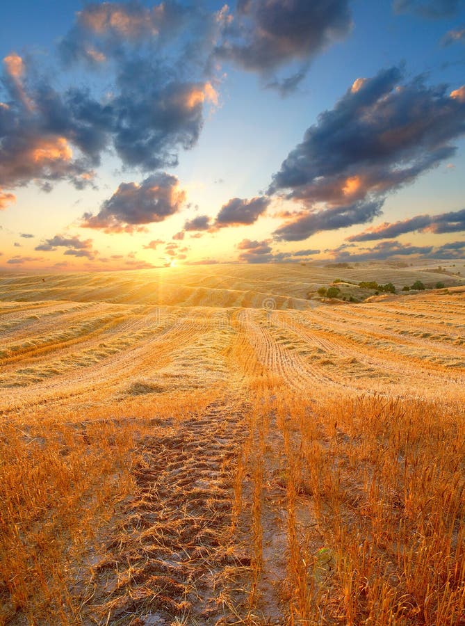 Sunset at field stock photo. Image of background, cloudy - 6844376
