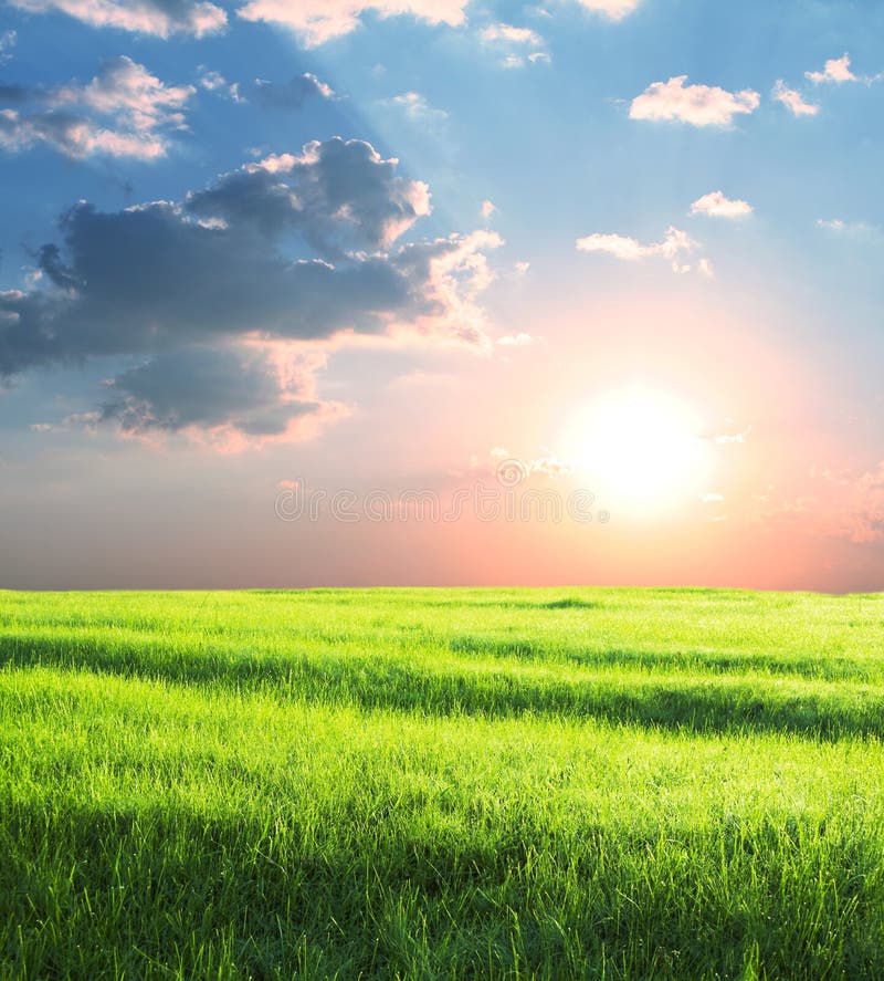 Field on sunset stock photo. Image of grassland, autumn - 54167448