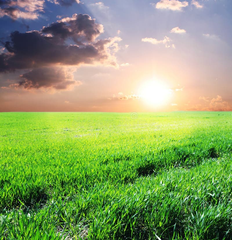 Field on sunset stock photo. Image of land, autumn, field - 6619366