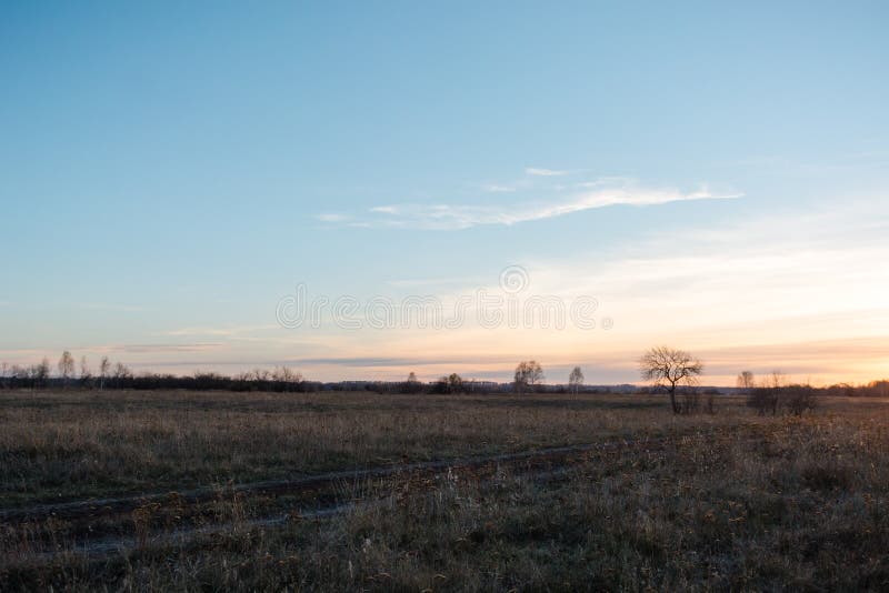Field at Sunset in the Fall. a Field in the Backlight of the Sun Stock ...