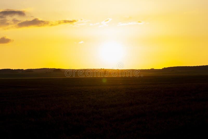 A Field at Sunset with Flying Insects Stock Photo - Image of sunny ...