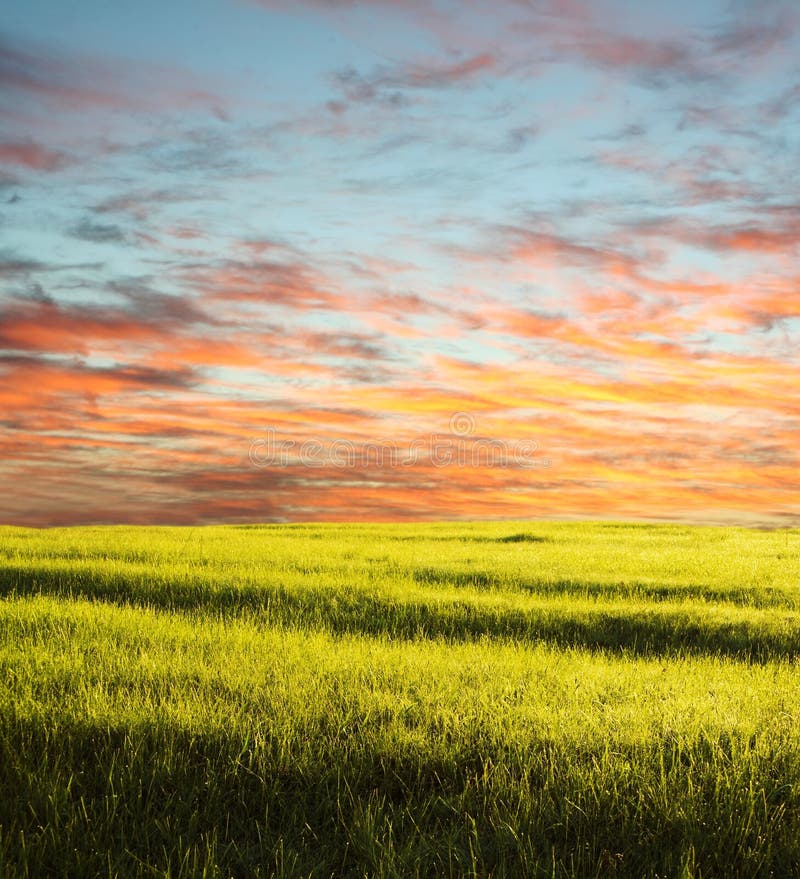 Field on sunset stock photo. Image of outside, summer - 54168122