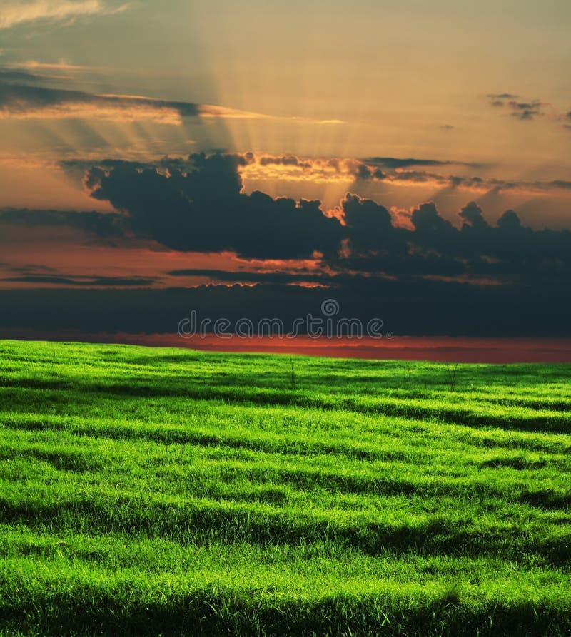 Field on sunset stock photo. Image of land, autumn, field - 6619366