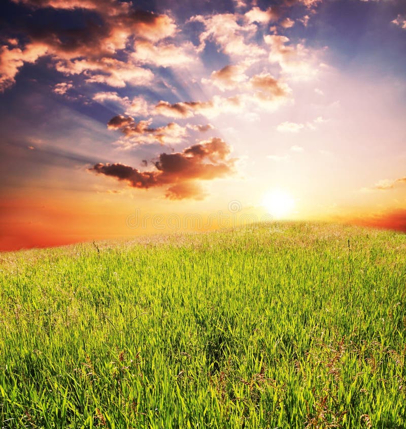 Field on sunset stock photo. Image of land, autumn, field - 6619366