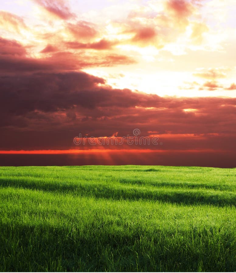 Field on sunset stock photo. Image of land, autumn, field - 6619366