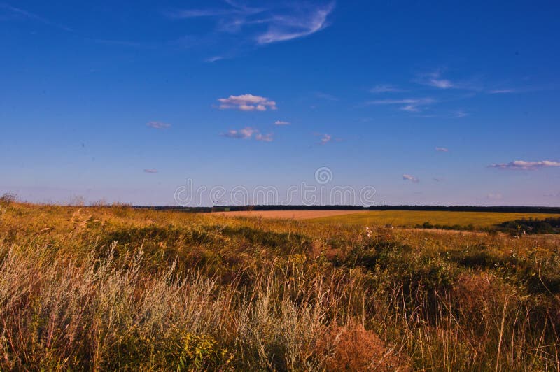 Field before sunset stock photo. Image of horizon, lilies - 77818906