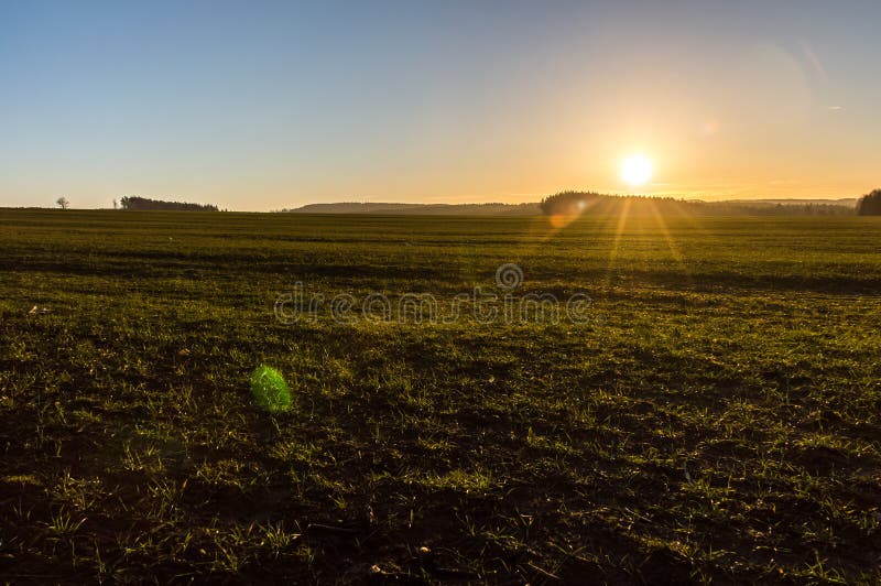 Field with sunshine stock photo. Image of pink, cloud - 70823134