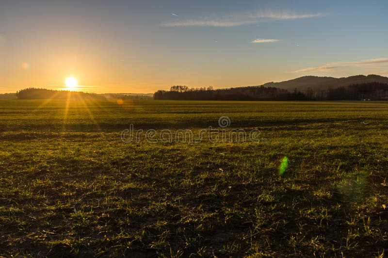 Field with sunshine stock image. Image of green, forest - 70823327
