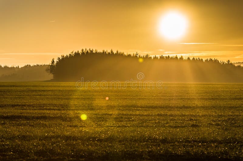 Field with sunshine stock image. Image of freshness, calm - 70823427