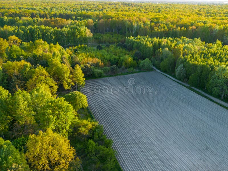 Field Surrounded with a Deciduous Forest Seen from Above Stock Photo ...