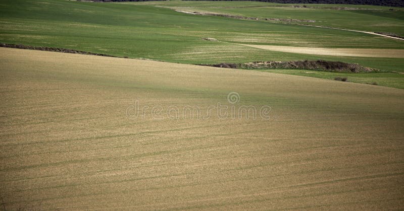 Field texture nature stock image. Image of beauty, aerial - 141537925