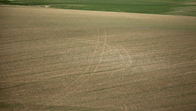 Field texture nature stock image. Image of agronomy - 141538013