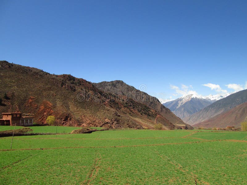 Field in Tibet China stock photo. Image of asian, glacier - 36583094