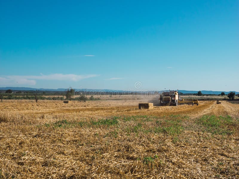 Field with Tractor Packing the Cereal Straw, Selective Approach Stock ...