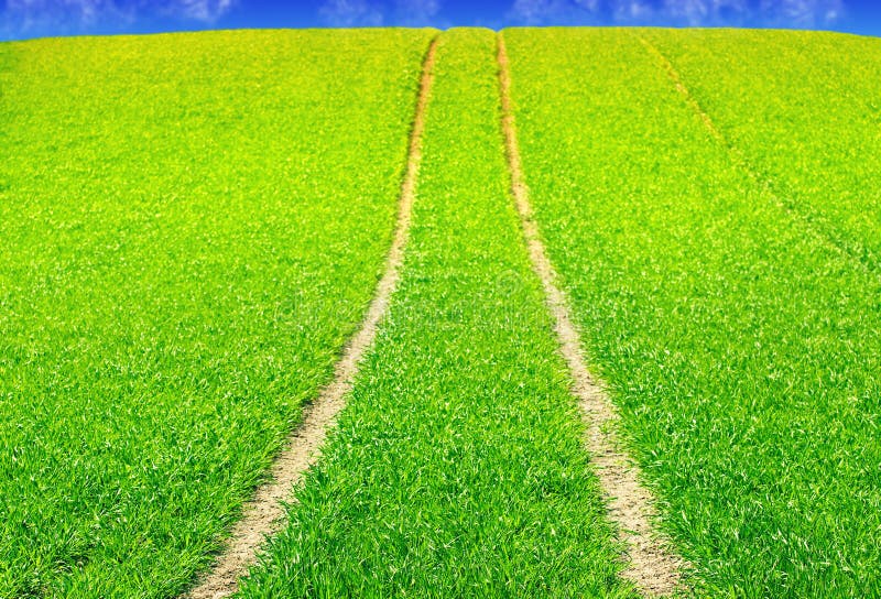 Field with tractor trace stock photo. Image of season - 19652862