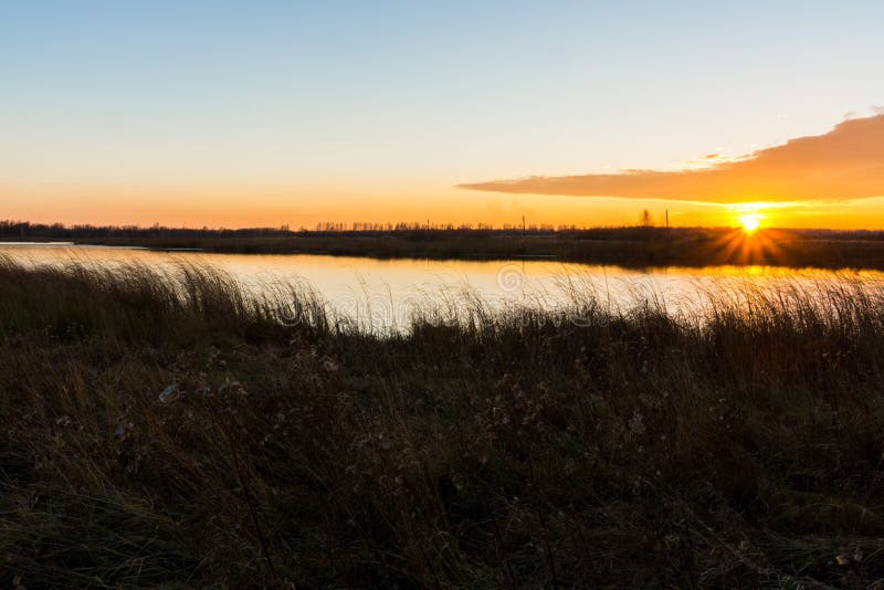 Field, Tree Planting and Road. Stock Photo - Image of road, water: 61652448