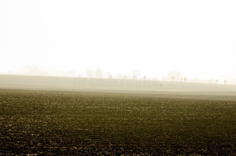 Field treeline stock image. Image of agriculture, treeline - 39089799