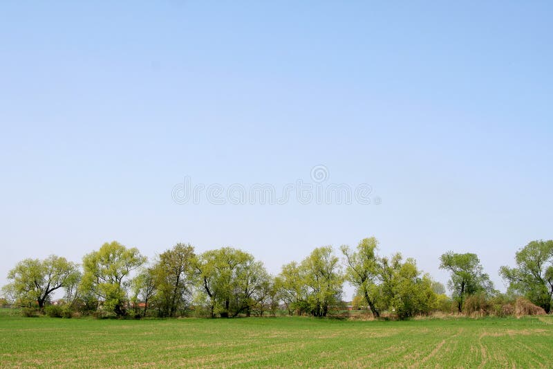 11,374 Grass Field Line Trees Stock Photos - Free & Royalty-Free Stock ...