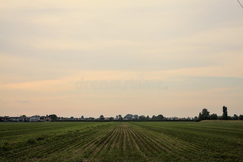 Field with Trees in the Distance at Sunset Stock Photo - Image of ...