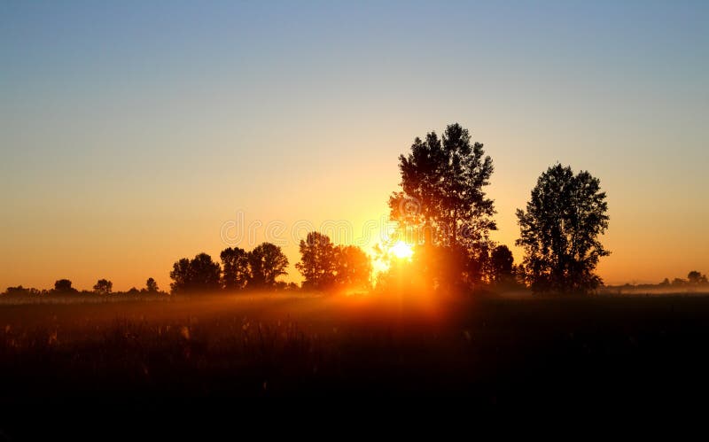 Field with Trees in Dusk with Sunset Stock Photo - Image of bright ...