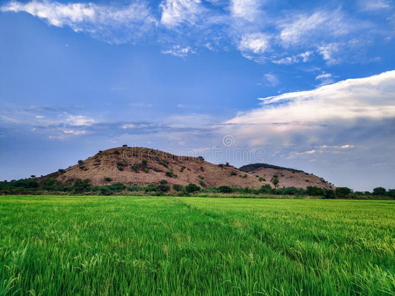 Field Trip into Hills stock image. Image of solo, hills - 184118005