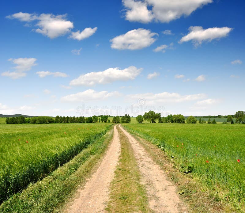 Field trip stock photo. Image of land, plant, blue, trail - 30198884