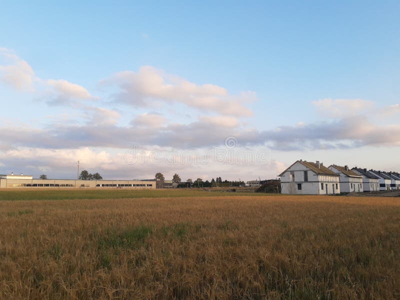 Field in Tuchom Poland. stock image. Image of field - 285482157
