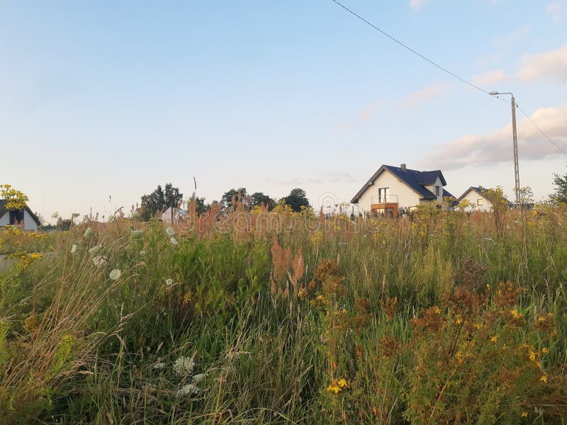 Field in Tuchom Poland. stock image. Image of nature - 285482181