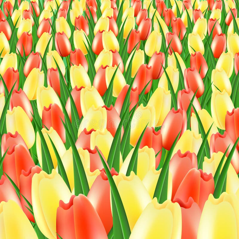 Field of tulips stock illustration. Illustration of light - 40717519