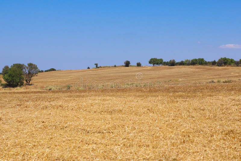 Field in Turkey stock image. Image of blue, turkey, scenery - 244673517