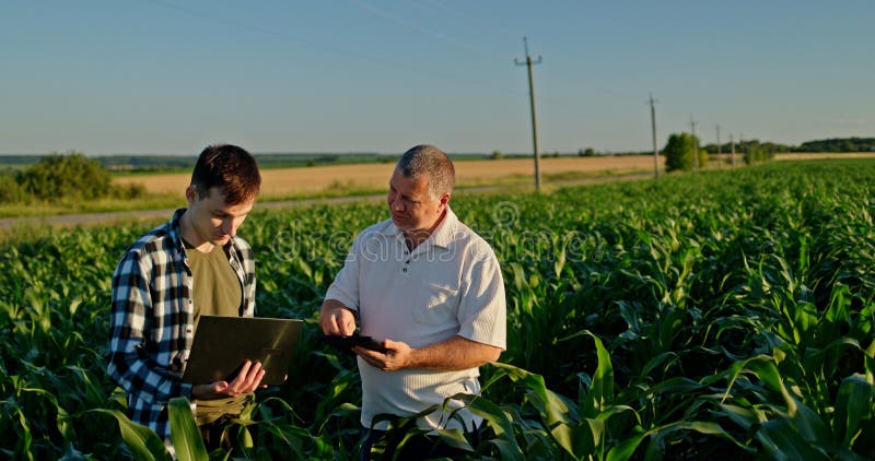 Two Farmers Working in a Field, Using a Laptop and a Tablet. Technology ...