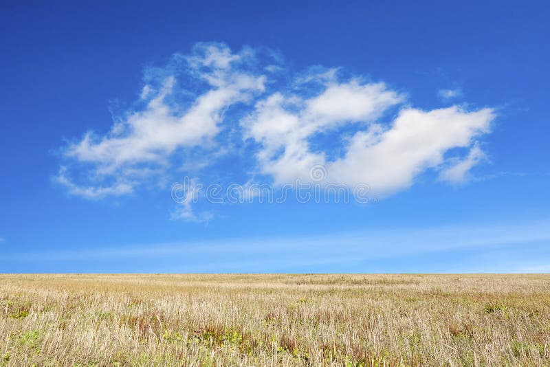 Field under the blue sky stock photo. Image of village - 106104606