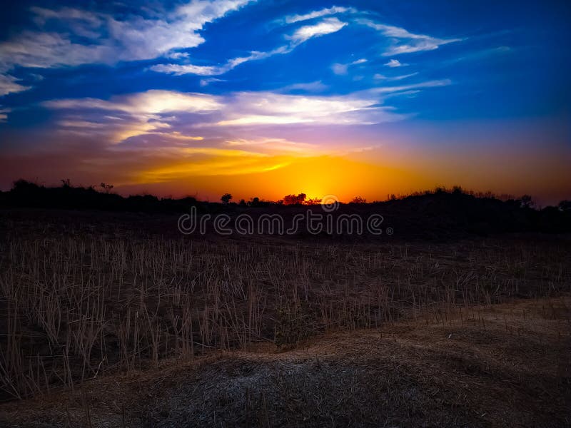 Field Under the Gorgeous Yellow and Blue Sunset Sky Stock Image - Image ...