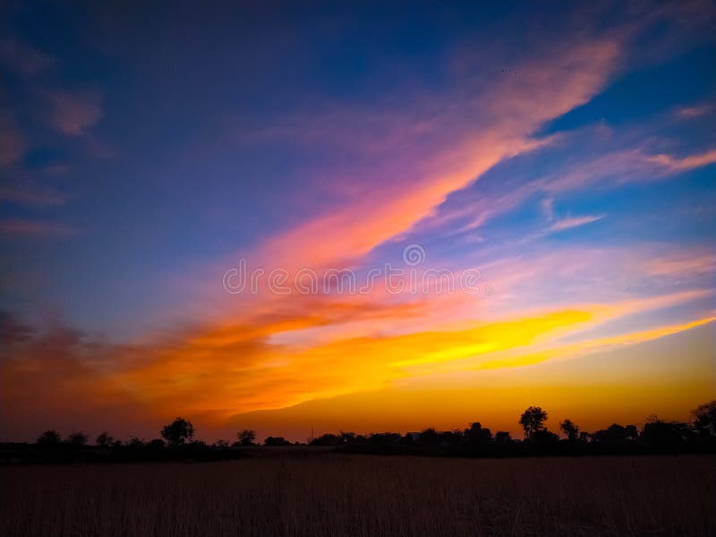 Field Under the Gorgeous Yellow and Pink Sunset Sky Stock Photo - Image ...