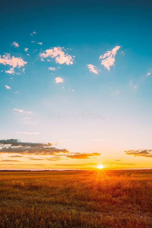 Field Under Scenic Summer Dramatic Sky in Sunset Dawn Sunrise. Stock ...