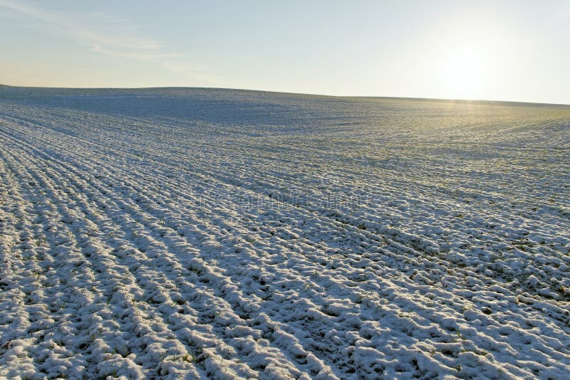 Field under snow. stock photo. Image of food, landscape - 36250460