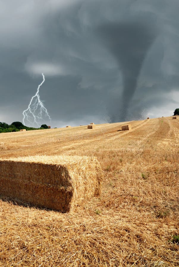 Field under stormy sky stock image. Image of nice, europe - 16674105