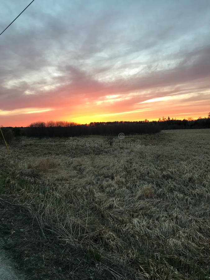 Nature Scapes stock photo. Image of sunset, field, scapes - 165614530