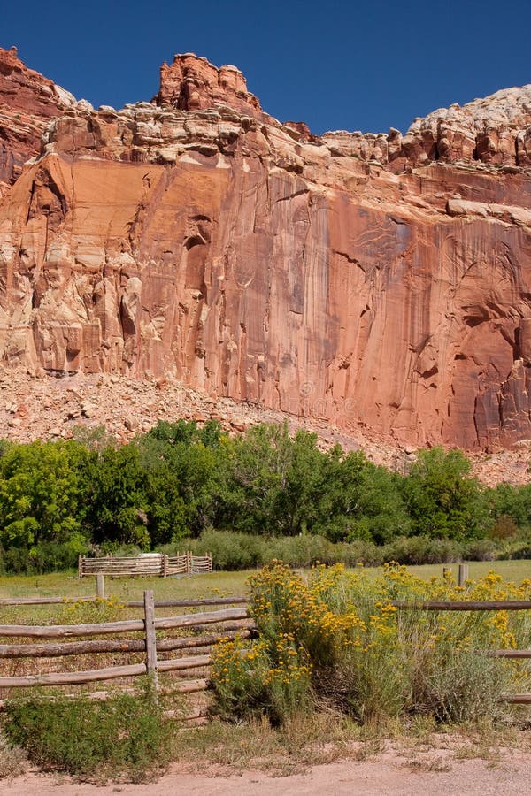 Field in Utah stock photo. Image of natural, grass, mountain - 11628308