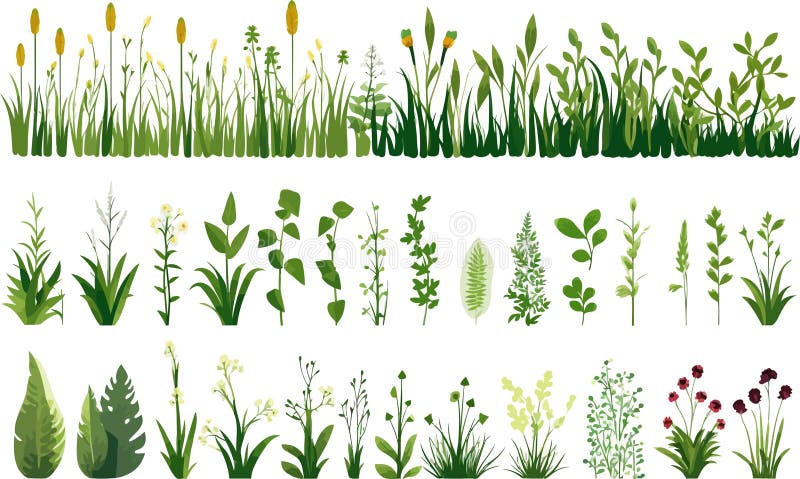 Field Vegetation Set Isolated Vector Style Illustration Stock Vector ...