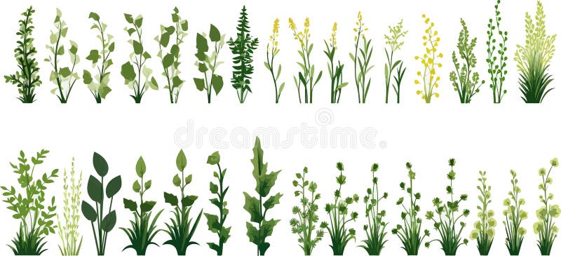 Field Vegetation Set Isolated Vector Style Illustration Stock Vector ...