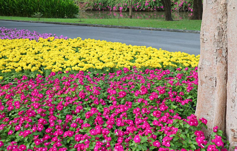 1,144 Periwinkle Field Stock Photos - Free & Royalty-Free Stock Photos ...