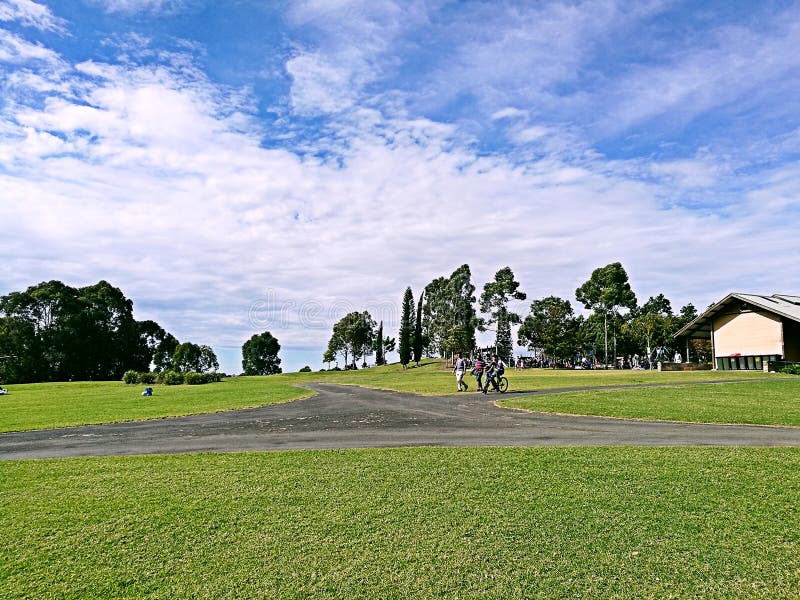 Field View @ Fagan Park editorial stock image. Image of sydney - 91488074