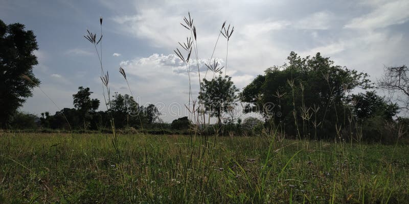 Field views stock image. Image of time, beautiful, naturebeauty - 182165219