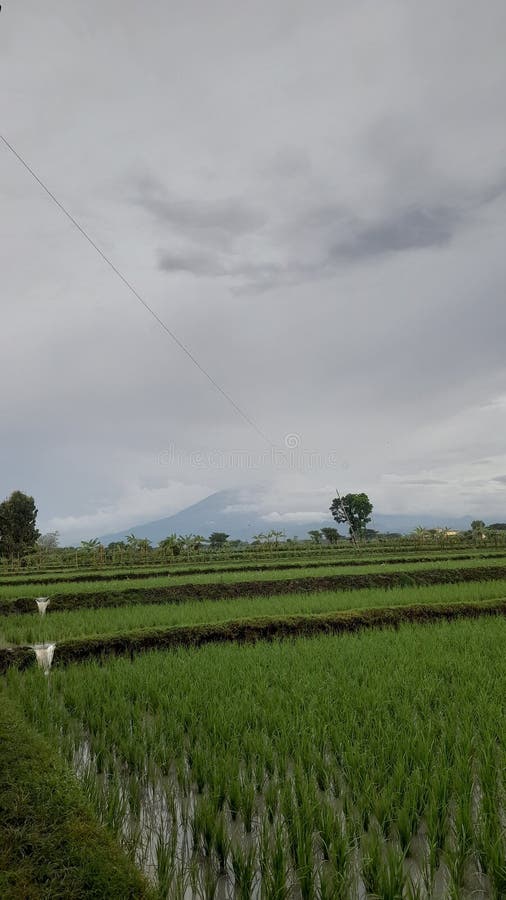 Field village stock photo. Image of mountain, village - 274712082