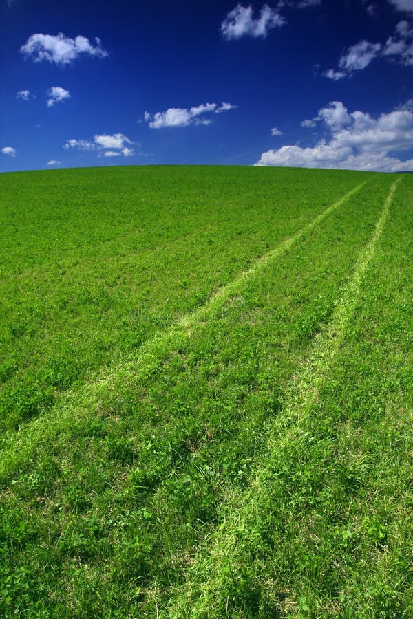 Field Way Picture. Image: 2790869