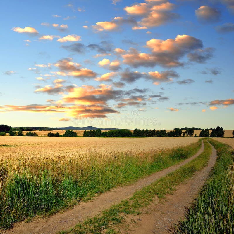 Field way stock image. Image of cloud, cloudscape, growth - 28872617