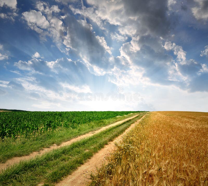 Field way stock photo. Image of beauty, horizon, scenics - 30414476