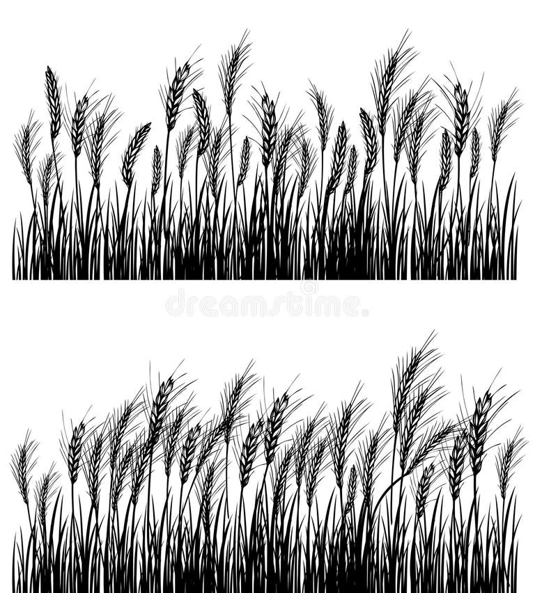Food Wheat Field Stock Illustrations – 64,230 Food Wheat Field Stock ...